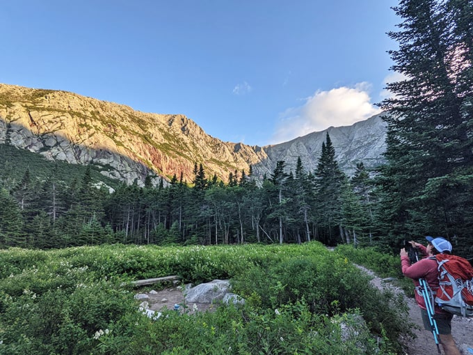 Chimney Pond Campground: Where "roughing it" means waking up to a view that makes five-star hotels weep with envy.