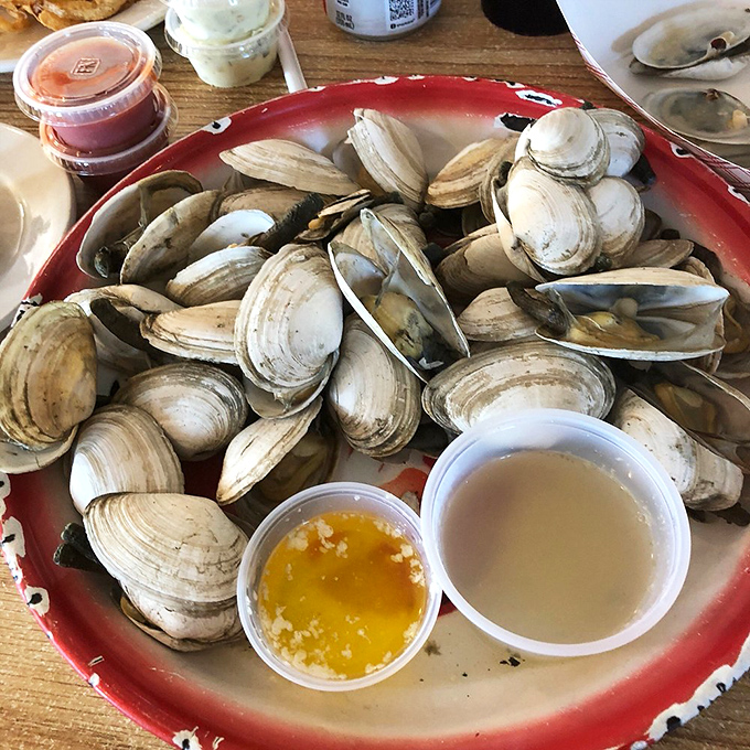 Clam-tastic feast ahead! These steamed beauties are like nature's own version of 'open sesame' - just add butter and enjoy.