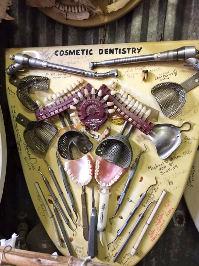 Smile! This dental-themed seat might make you think twice about skipping your next check-up. Tooth be told, it's pretty impressive!