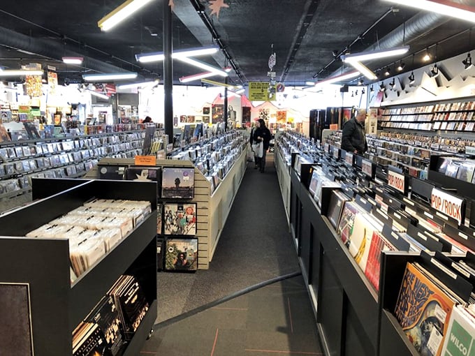 Treasure hunters in their natural habitat. Watch as music enthusiasts dig for their next favorite album.