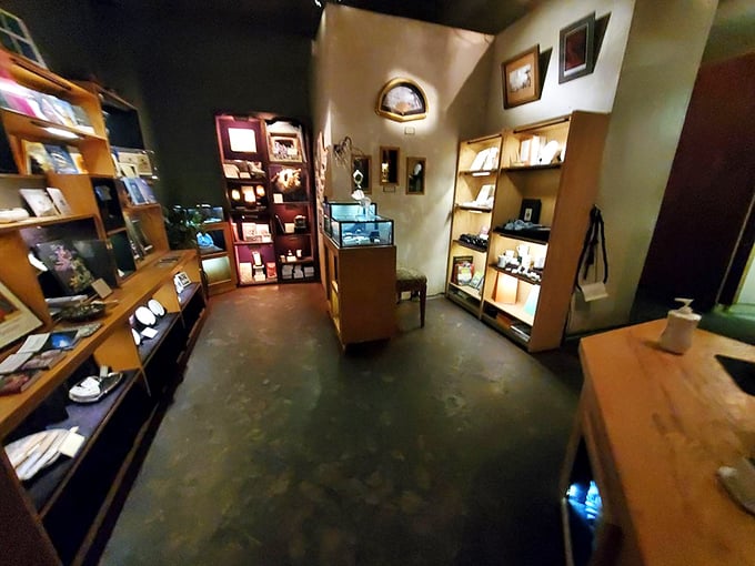 "Curio cabinets or portals to other dimensions?" These wooden shelves house a treasure trove of oddities that defy easy explanation.