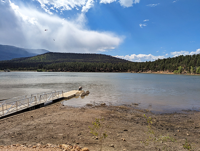 All aboard the S.S. Serenity! This humble dock is your gateway to aquatic adventures on Morphy Lake's tranquil waters.