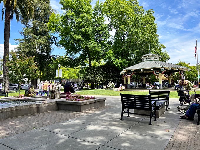 Healdsburg Plaza: The heart of Healdsburg beats strong here. It's like a Norman Rockwell painting come to life, but with better wine and fewer Boy Scouts.