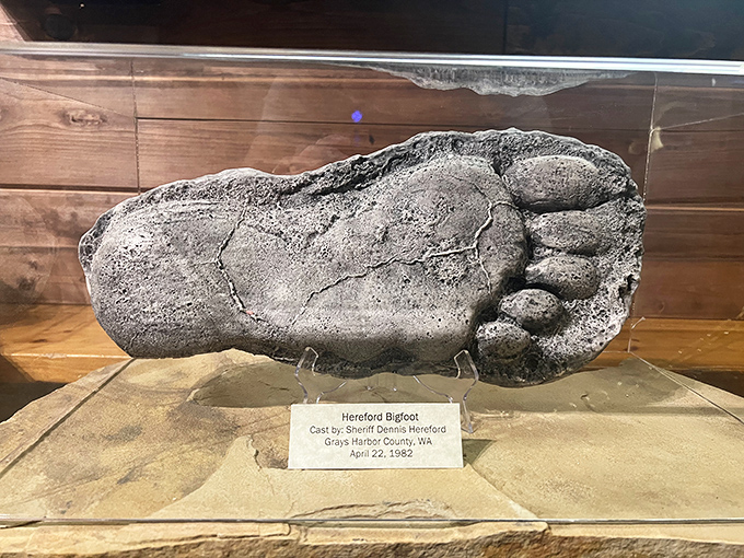 Holy footprint, Batman! This massive cast might just convince you that Bigfoot's been hitting the gym. Talk about leaving a lasting impression!