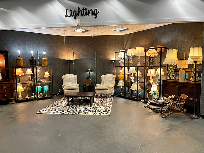 Illuminating finds await! This lighting section is a beacon of hope for lamp lovers. It's where Edison's dreams come to life in all shapes and sizes.