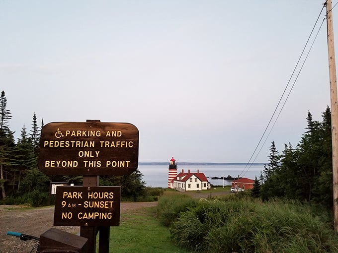 Early bird gets the view! These park hours ensure you can catch the sunrise before your first cup of coffee.