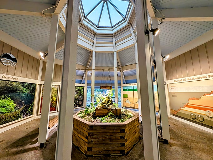 Step into nature's classroom! This hexagonal hub is where Indiana Jones would hang out if he traded his whip for a geology textbook.