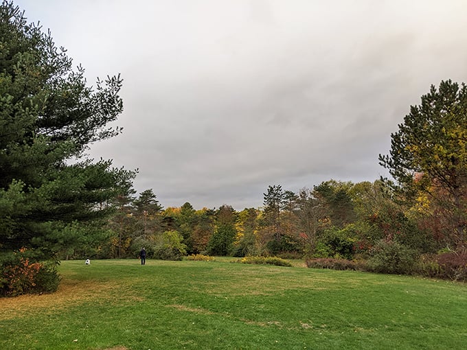 Who ordered the extra-large serving of green? This sprawling lawn is begging for a picnic, a nap, or an impromptu cartwheel competition.