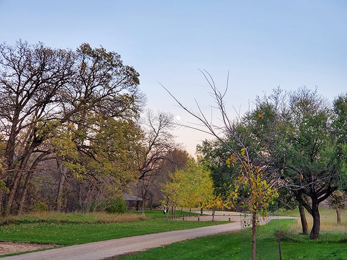 Fifty shades of green: Fort Ransom's grounds are a verdant paradise. It's like Mother Nature cranked up the saturation slider to 11.