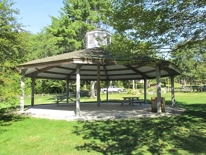 The Pavilion of Possibilities: Part gazebo, part time machine. Step inside and transport yourself to simpler times.