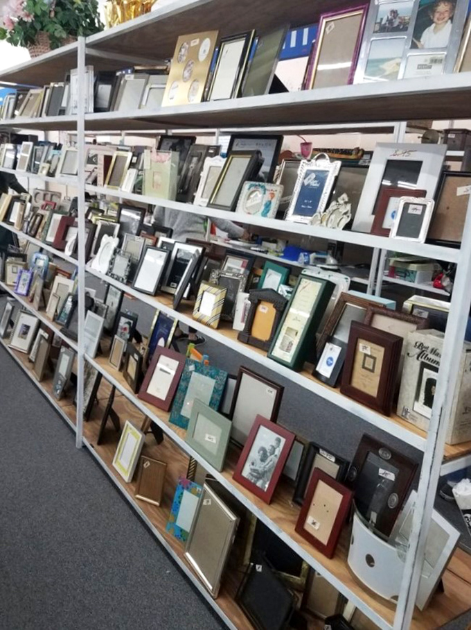 A gallery of memories waiting to happen! These frames are itching to showcase your finest "I woke up like this" selfies.