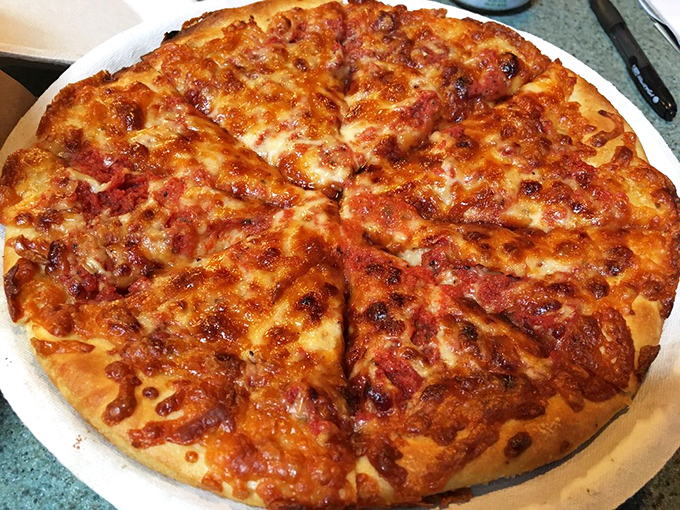 Behold, the plain cheese pizza in all its glory! Sometimes, simplicity is the ultimate sophistication... and the ultimate deliciousness.