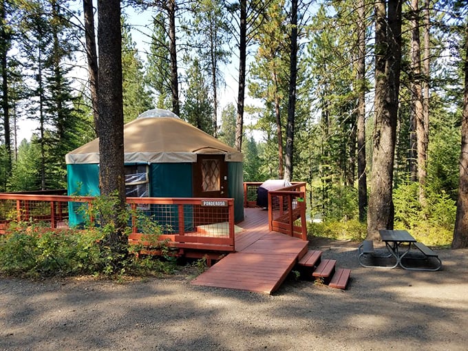 Glamping gone wild! These yurts are like the Swiss Army knives of camping &ndash; compact, clever, and surprisingly comfy.