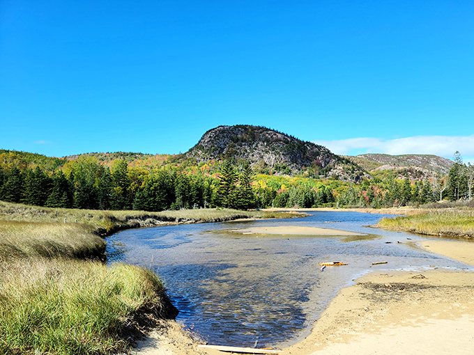 Sand Beach: where the mountains play peek-a-boo with the sea. It's like nature decided to show off all its best features in one breathtaking view.