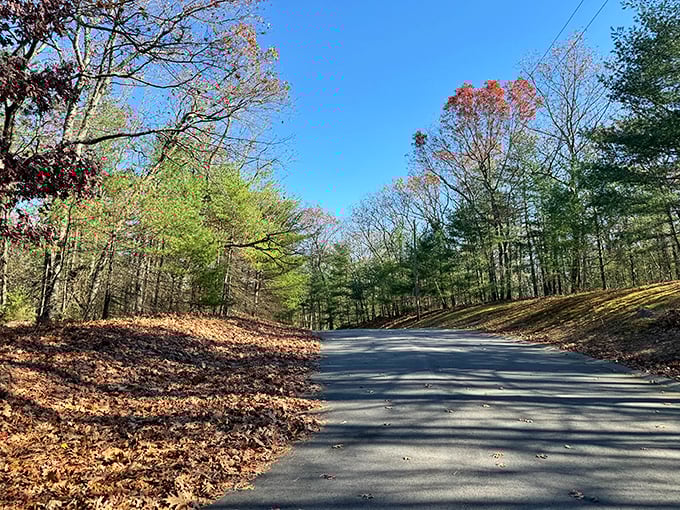 Nature's IMAX: Ashland's panoramic views make your 4K TV look like a flip book drawn by a caffeinated squirrel.