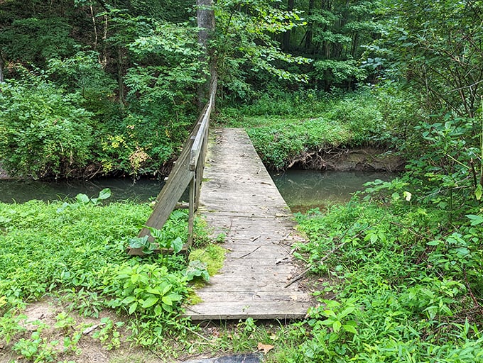 Bridge to tranquility: Cross this wooden path and leave your worries behind. It's like a real-life version of "The Road Not Taken."