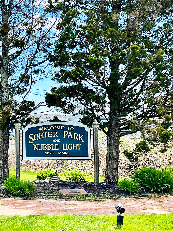 "Welcome to Sohier Park," the sign says. But really, it's saying, "Get ready for your Instagram to explode with beauty."