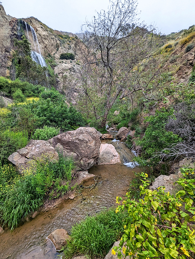 Babbling brooks and serene streams - it's like Mother Nature's own ASMR video, but with better scenery and fewer ads.
