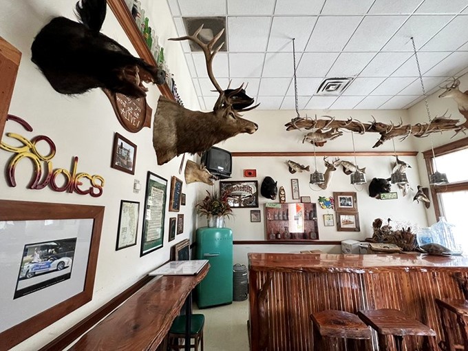 Welcome to the wildest dinner party in Florida! These mounted guests may not say much, but they sure know how to liven up a room.