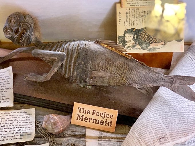 The Little Mermaid's distant cousin twice removed? The Feejee Mermaid proves that beauty is in the eye of the beholder.