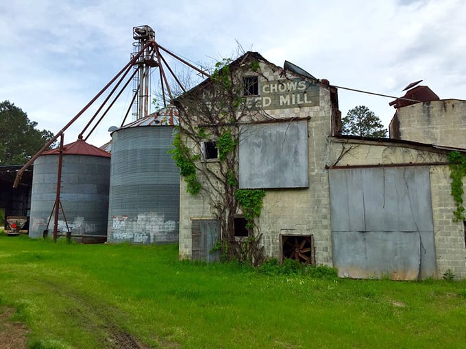 Zombies and charm, oh my! Senoia's old feed mill got a post-apocalyptic makeover, courtesy of "The Walking Dead."