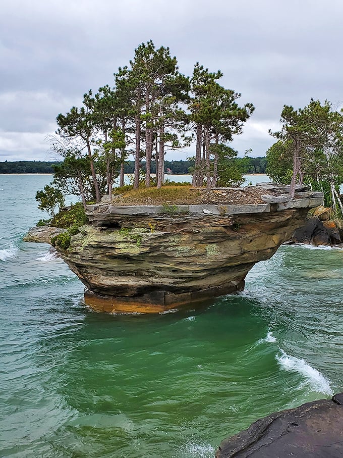 A bird's-eye view of nature's culinary creation. Who knew the Earth was into veggie-shaped landscaping?