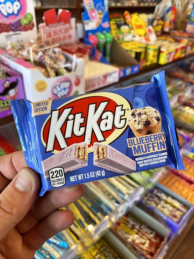 Blueberry Muffin Kit Kat? It's like breakfast and dessert had a delicious love child! Who knew candy could multitask better than most of us?