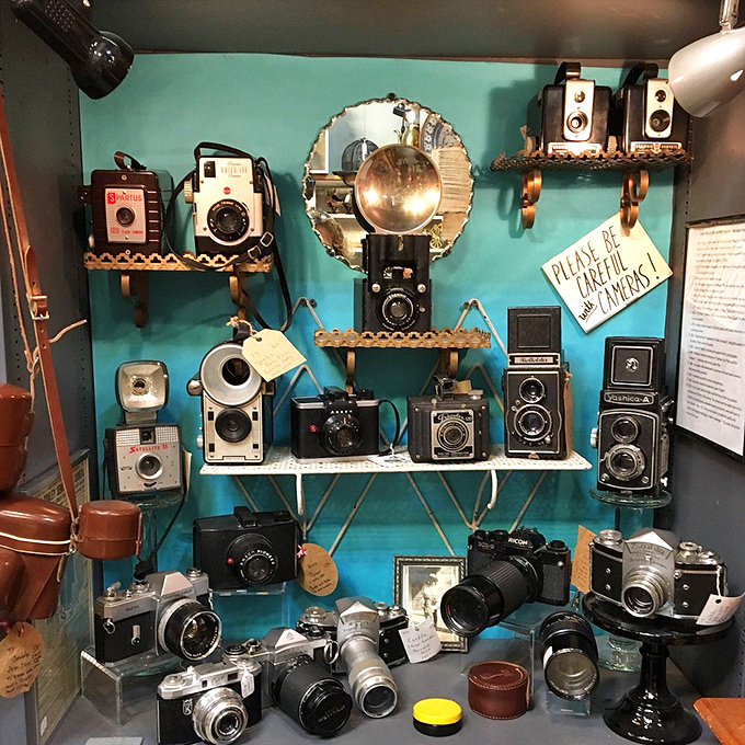Say cheese to this collection of vintage cameras! They've seen more action than paparazzi at a Kardashian wedding.