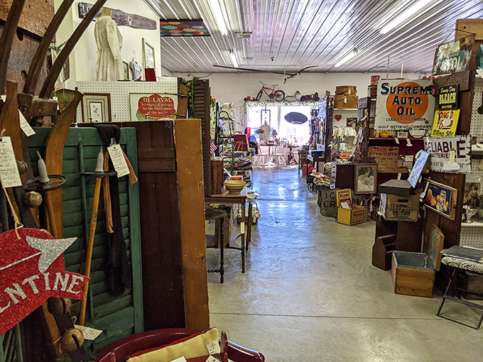 Ah, the thrill of the hunt! This corner is like a 3D 'I Spy' book for grown-ups, where every shelf holds a potential "eureka!" moment.