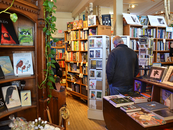 Browse, peruse, or simply muse - this bookstore is where stories and people intersect in the most delightful ways.