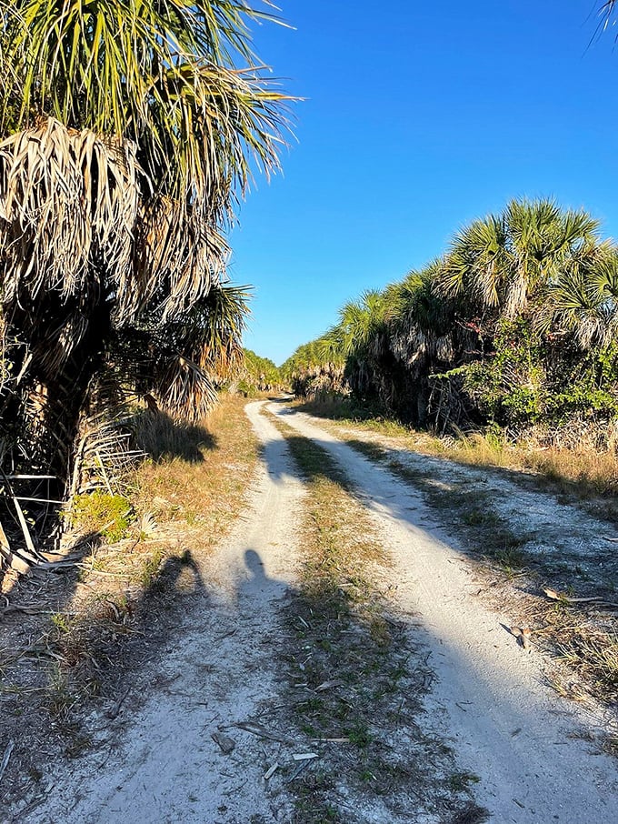 Park perfection! Fort De Soto's well-maintained grounds are proof that Mother Nature and human caretakers make a great team.