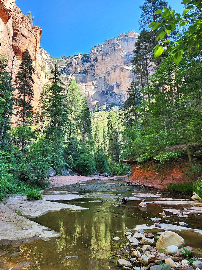 Mother Nature's own lazy river! Except instead of inflatable tubes, you've got towering red rocks and lush greenery. No lifeguard on duty, folks!