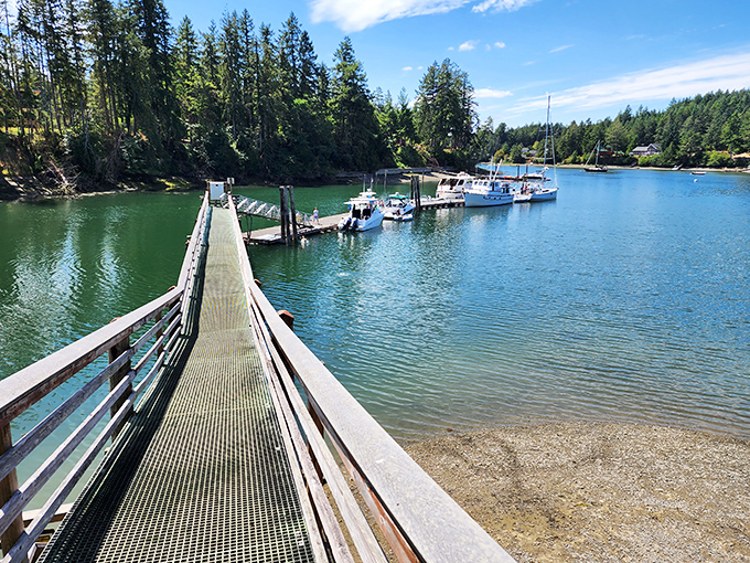 Boat parking that puts your local marina to shame. These vessels have scored front-row seats to nature's daily show.