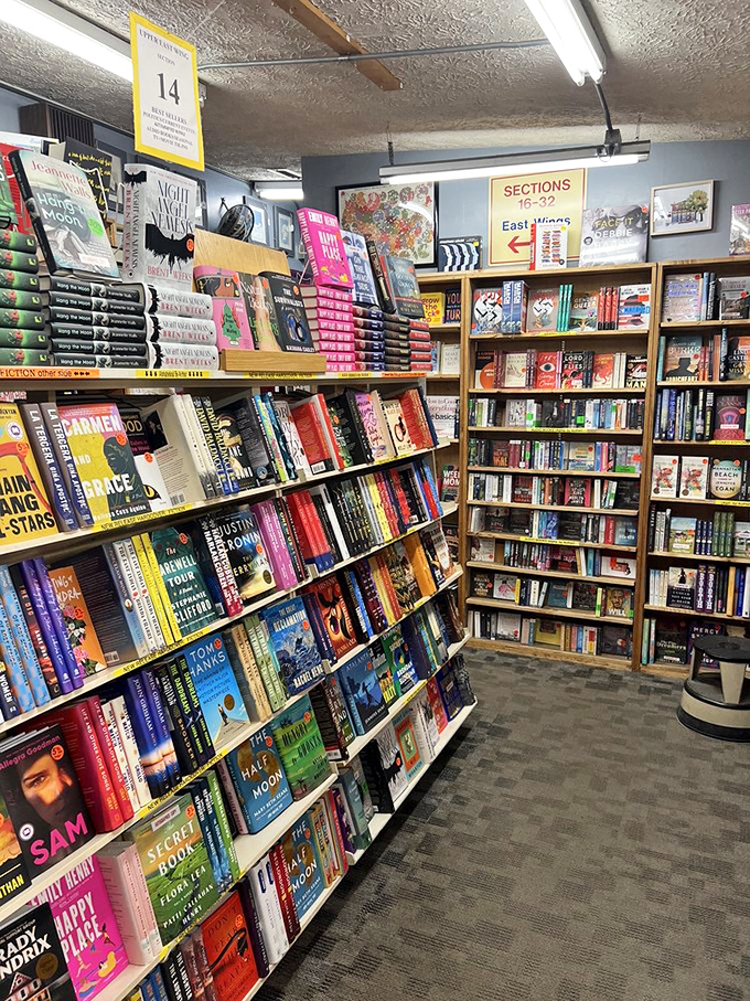 New releases galore! This display is a book lover's version of a candy store, tempting you with fresh literary treats.