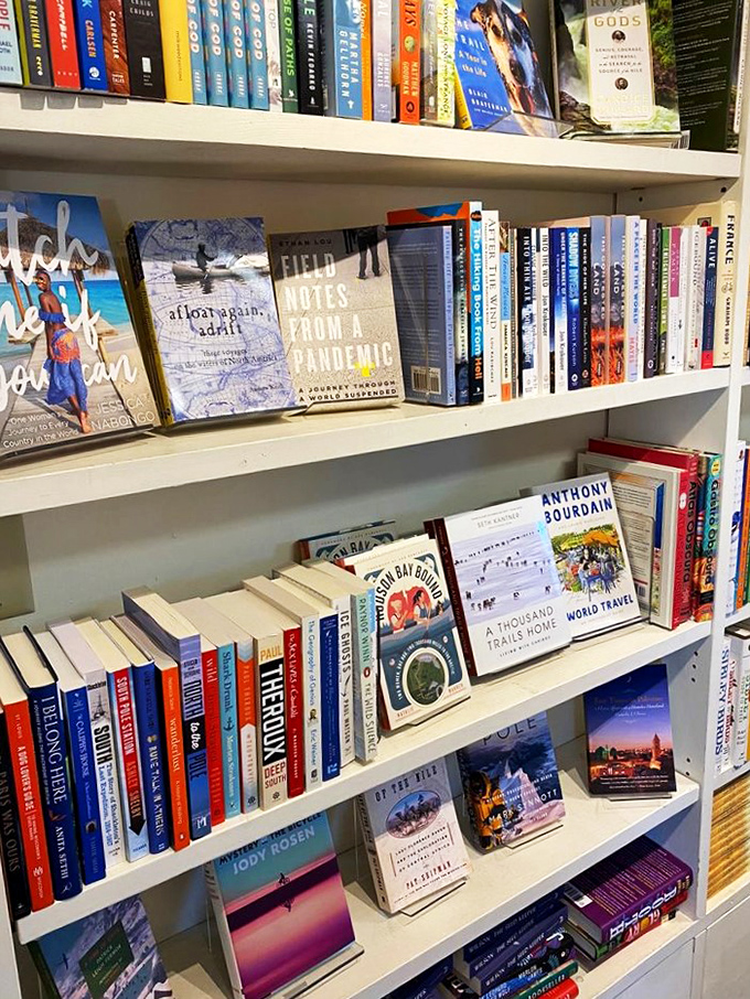 A rainbow of spines that would make Roy G. Biv jealous. Each shelf is like a new chapter waiting to be explored.