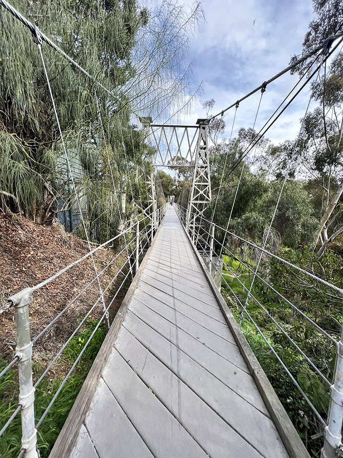 Who needs roller coasters when you've got this? San Diego's answer to the Golden Gate, minus the traffic and with 100% more wobble.