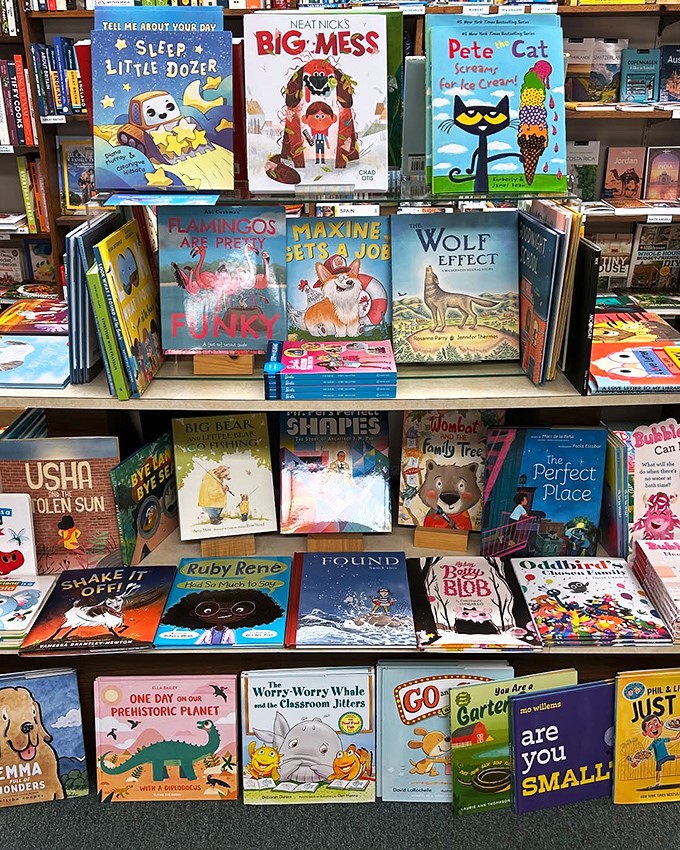Storybook magic comes alive! From sleepy sloths to big messes, these picture books are ready to spark young imaginations.