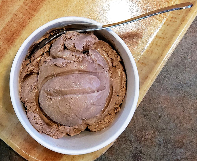 Chocolate ice cream so rich, it should come with its own accountant. One scoop and you'll be planning your next visit.