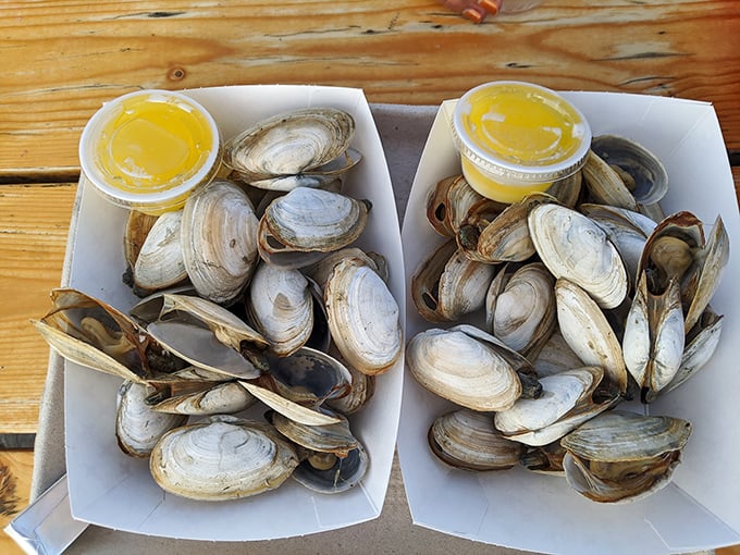 Clams: nature's little treasures from the deep. These bivalves are ready for their close-up &ndash; and your taste buds.