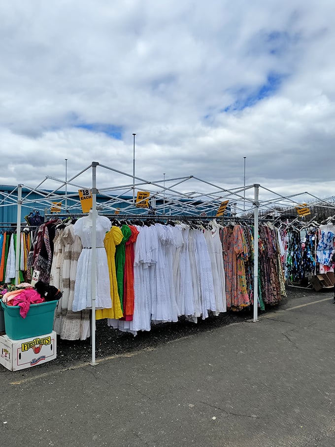 A kaleidoscope of cotton! This clothing cornucopia's got more colors than a Skittles factory explosion.