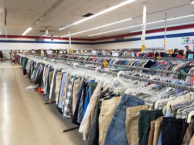 A sea of denim and a rainbow of cotton await. It's like your closet had a growth spurt and invited all its friends over!