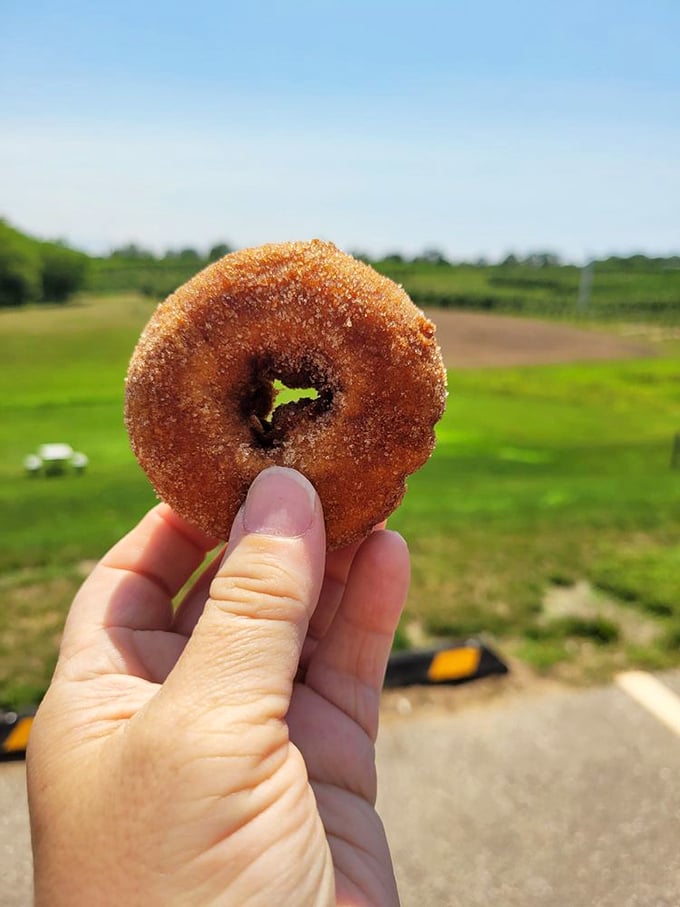 Hold the donut up to the light &ndash; is that a halo I see? Cinnamon-sugar coated bliss against a backdrop of pure Michigan.