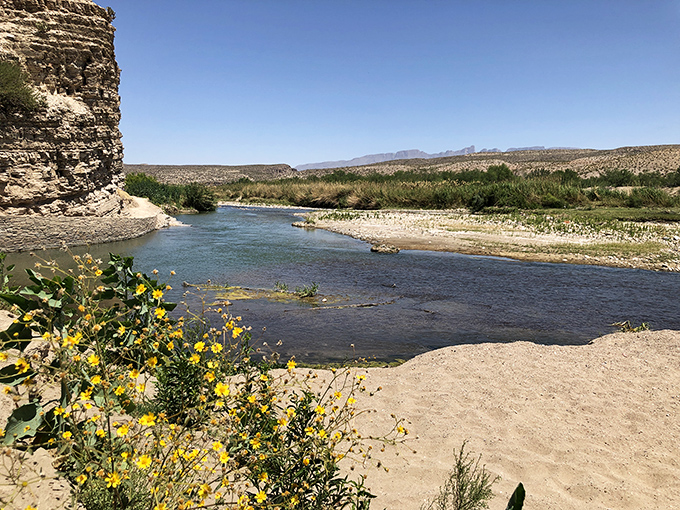 Where the Rio Grande meets wildflower heaven. It's like Mother Nature decided to throw a colorful fiesta right here in the desert.