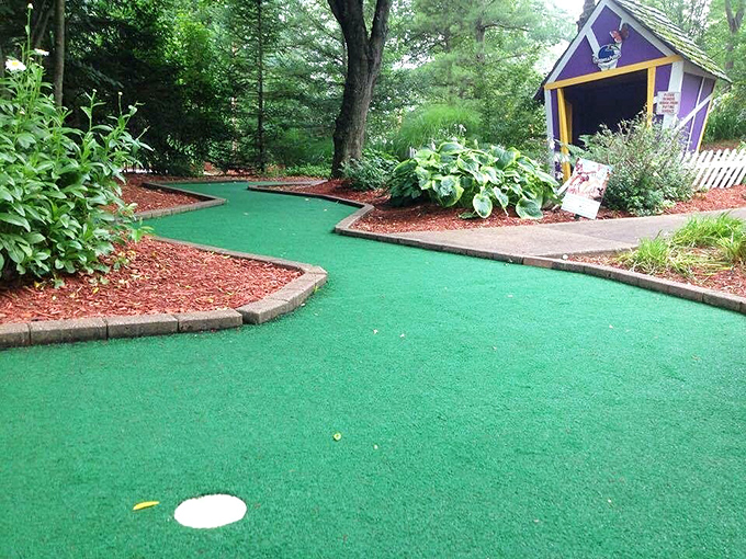 Putt your way through this enchanted forest. It's mini-golf meets 'Alice in Wonderland', minus the grinning Cheshire Cat... or is it?