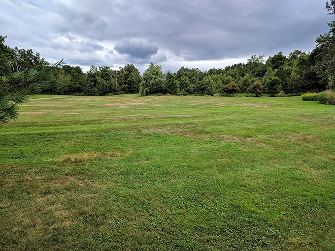 Fifty shades of green? More like fifty thousand! This verdant vista is Mother Nature's way of showing off her color palette.