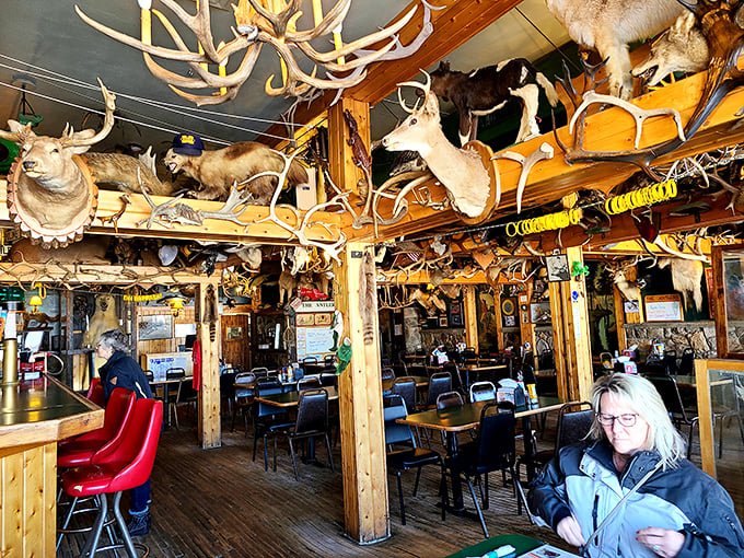 Welcome to the Sistine Chapel of taxidermy! This interior could make a vegan order a steak, if only to appease the watchful eyes above.
