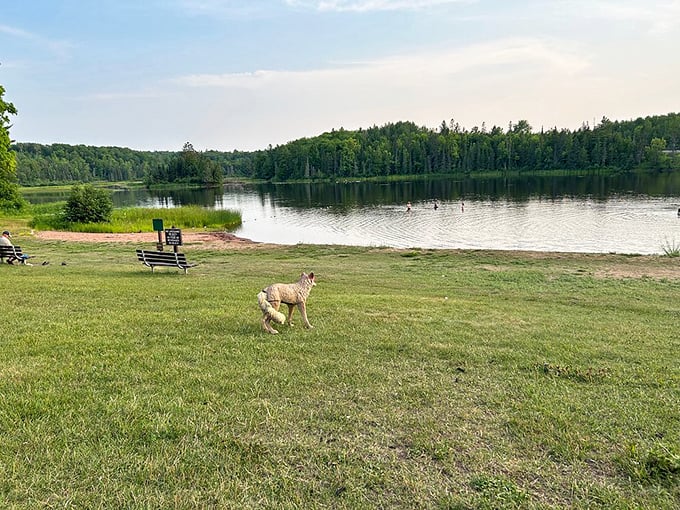 Mirror, mirror on the lake... Who's the fairest state park of all? Pattison's autumn reflections are pure magic.
