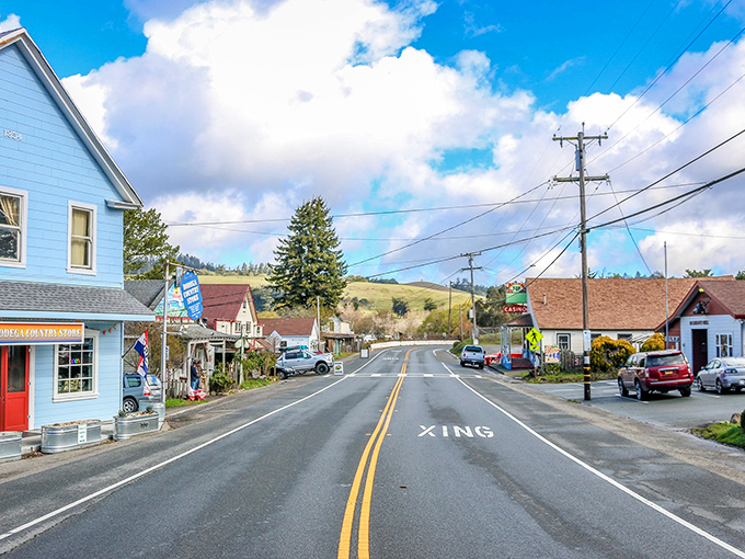 Small town, big heart. Bodega's main drag is where "rush hour" means deciding which ice cream flavor to try first.