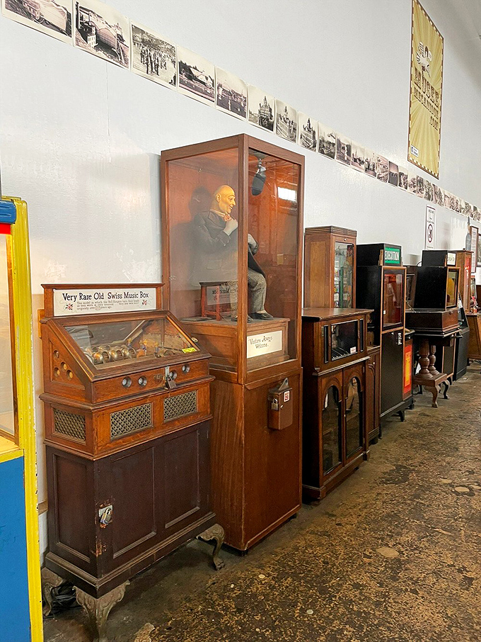 Meet the original Alexa &ndash; no Wi-Fi required! These dapper gentlemen in glass cases are the great-grandfathers of modern tech, ready to predict your future or play a tune for a nickel.