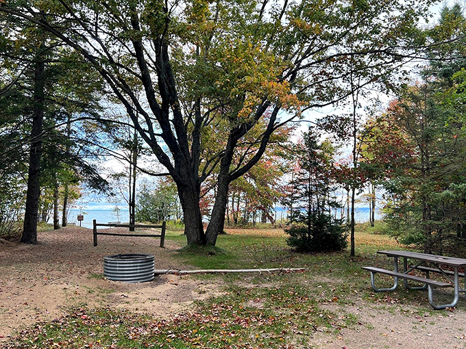 Picnic perfection: where 'dining al fresco' meets 'five-star view' and 'no reservation required.